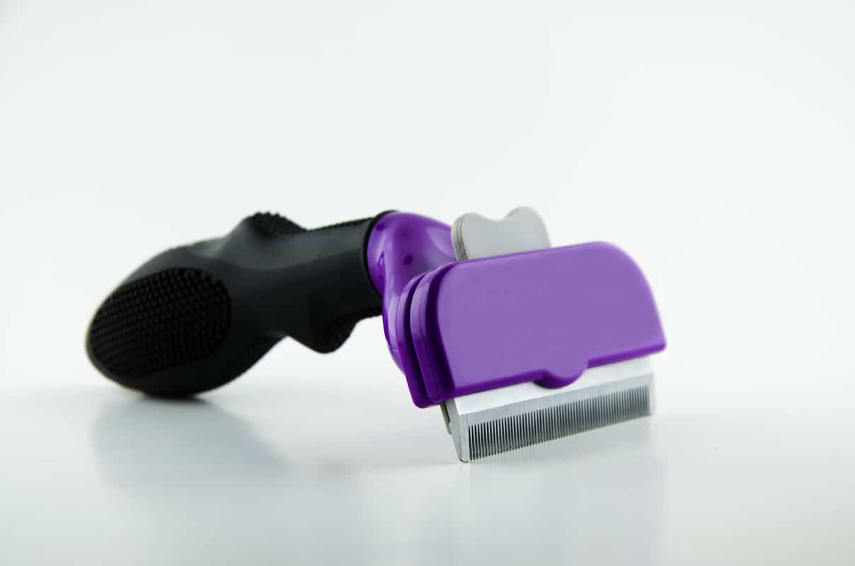 Grooming a German Shepherd: All You Need to Know – The German Shepherder