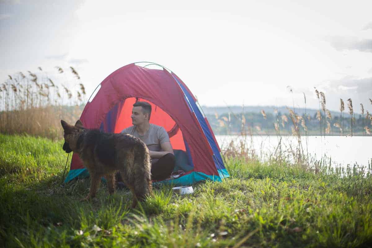 The Complete Guide to Camping with Your German Shepherd – The German ...