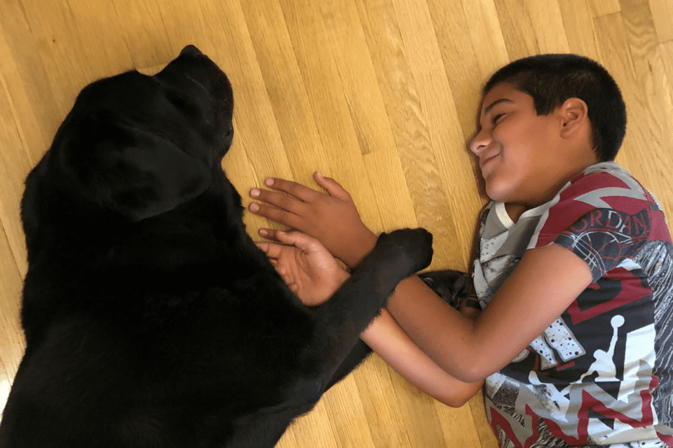 Labradors Are Great With Kids, And Here’s Why! – The German Shepherder